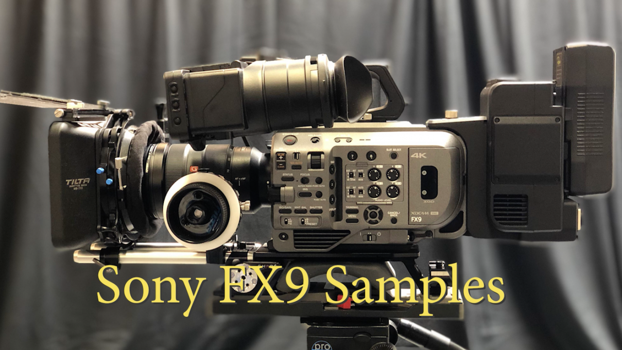 Sony FX9 Samples – Turtle Island Productions LLC
